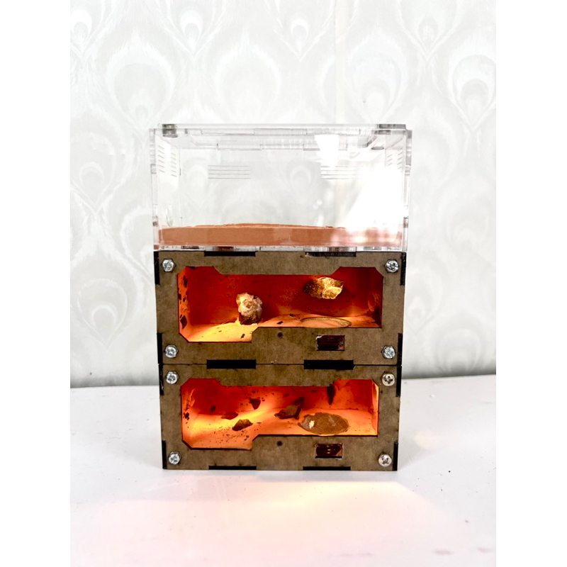 [DT05] 3-tier standing Tank for raising ants (Nest can be extended ...