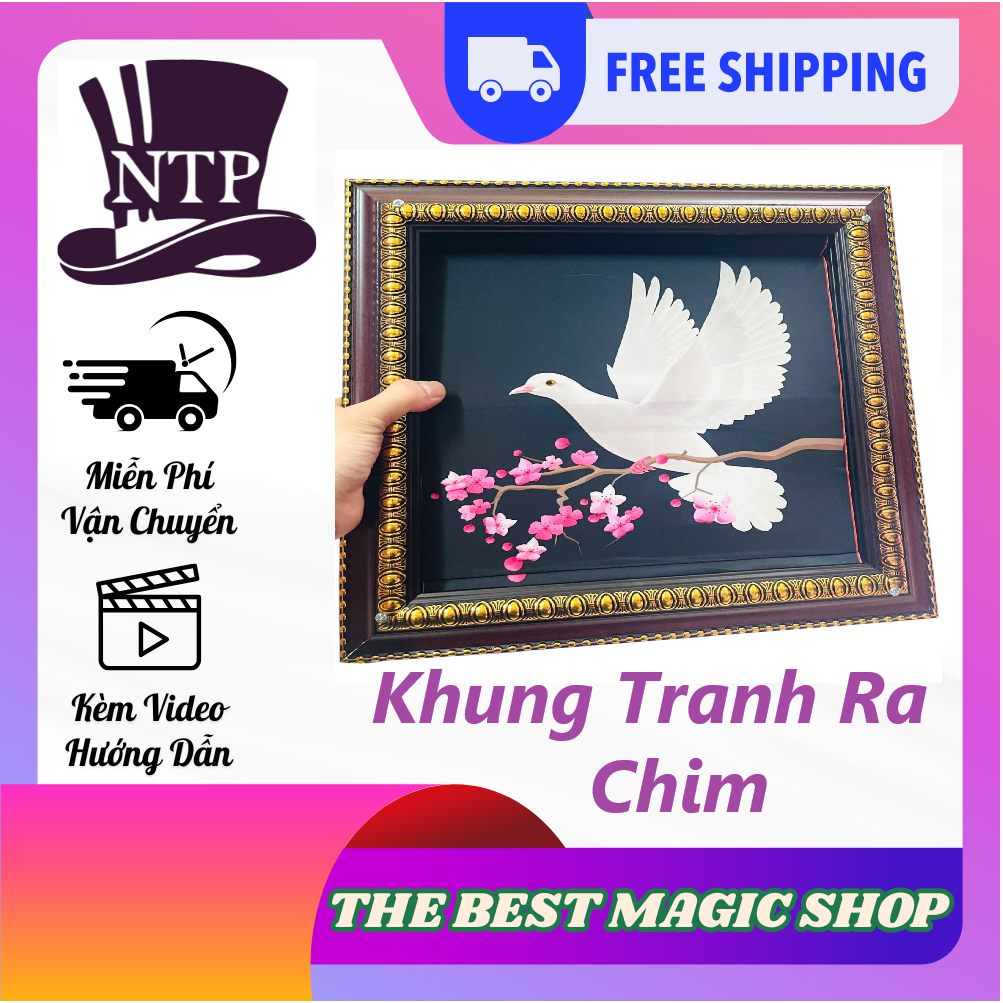Pigeon Picture Frame Magic (With Video Instructions) | Shopee Singapore