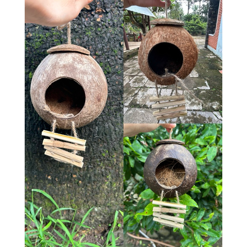 Coconut shell nests for birds, mice, squirrels, snakes... comes with ...