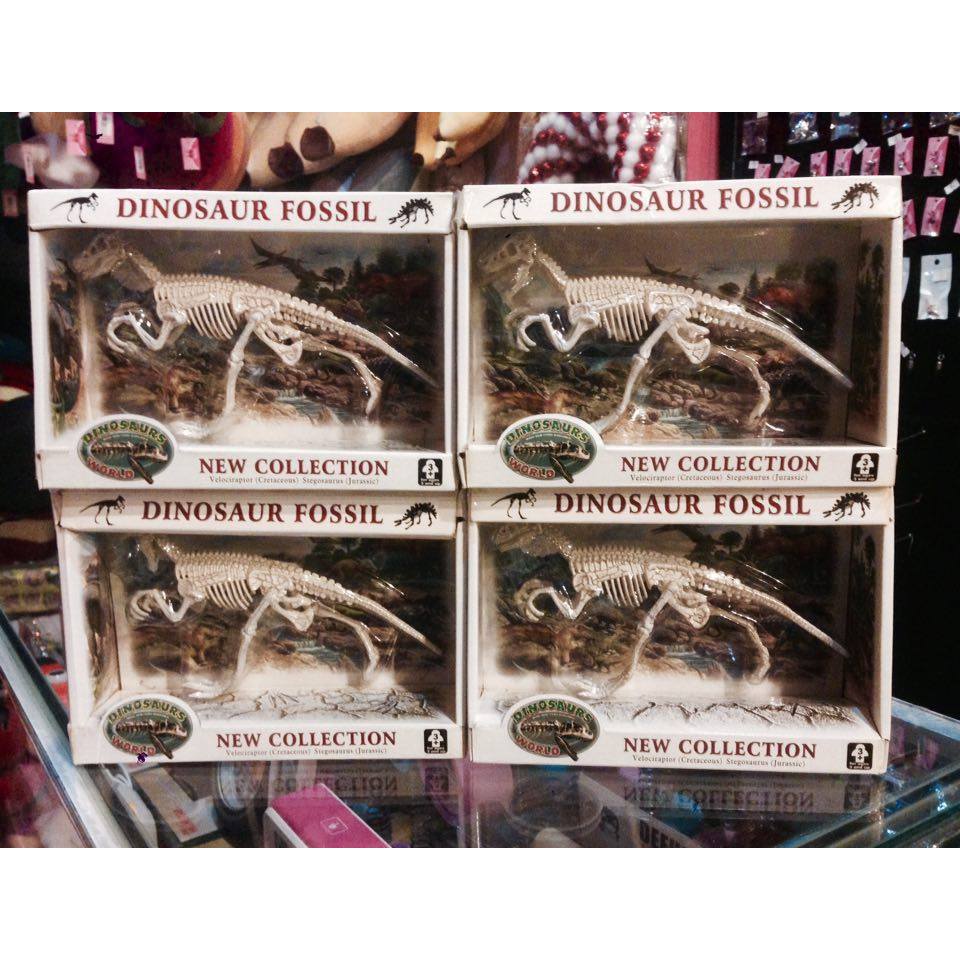 Dinosaur Fossil Model (Plastic) - (No Box) - 1 Piece | Shopee Singapore