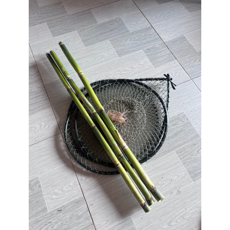Fish Trap Roofing with Broom, Snakehead Fish, Choking, Eel, Crab with ...