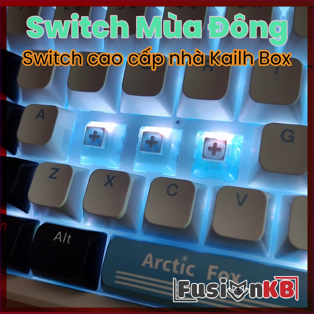 Winter Switch | Kailh Box switch | Linear Switch | Collectible Switch ...