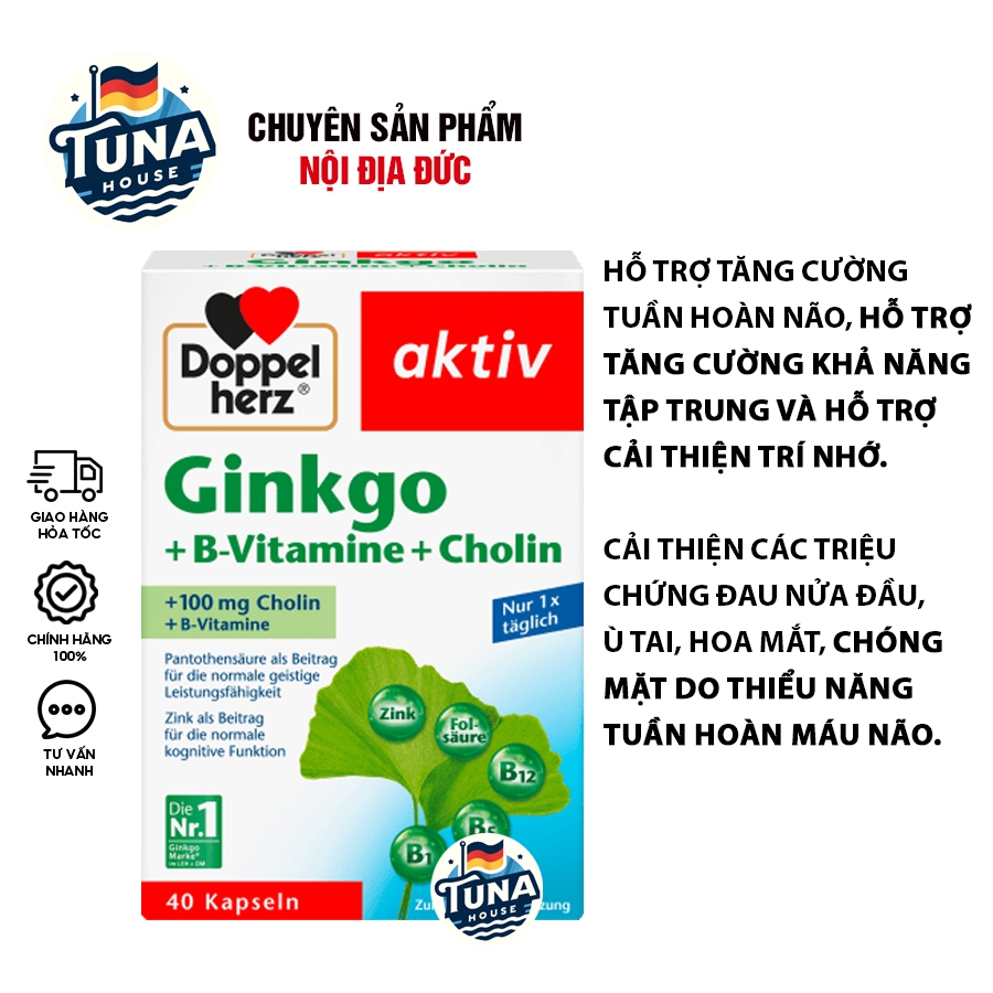 [German Goods] GinkGo Vitamin B1,B5,B12- Cholin brain supplement ...