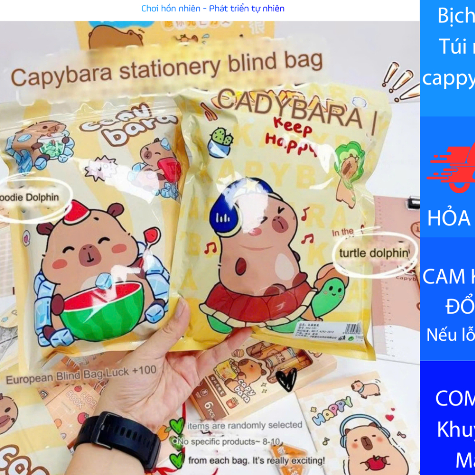 [Capybara] Capybara Blind Bag Big Bag School Supplies Blindbox Lucky ...