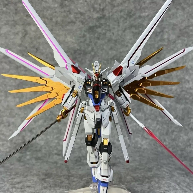 Hg 250 Mighty Strike Freedom Fighter Assembly Model (with base + water ...
