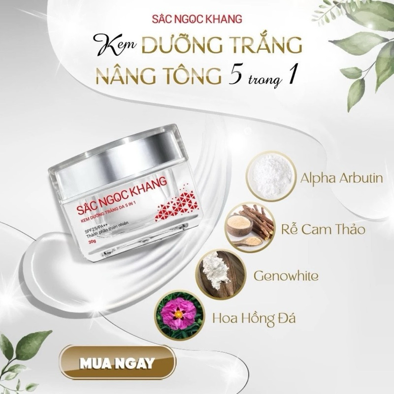 Sac Ngoc Khang Day Cream 5in1 30g | Shopee Singapore