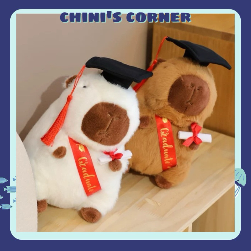 ️‍ GRADUATION GIFT ️‍ 25cm fluffy brown and white graduation Capybara ...