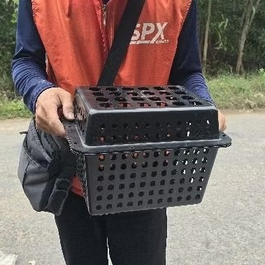 Sea crab farming box, plastic cage for raising sea crabs (20 grade 1 ...