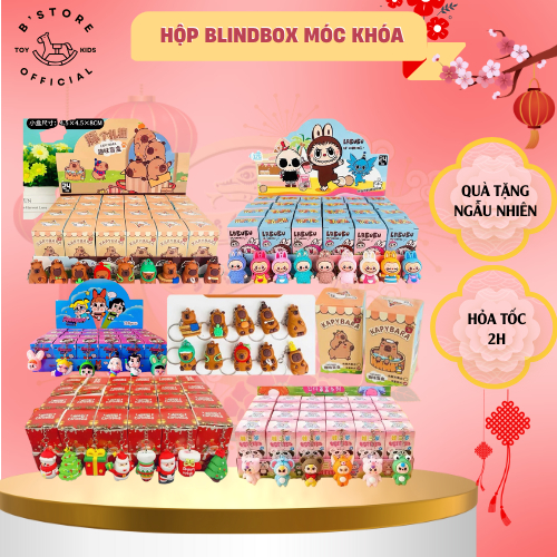 Full SET of 24 Blindbox boxes, labubu Noel kuromi capybara keychain box ...