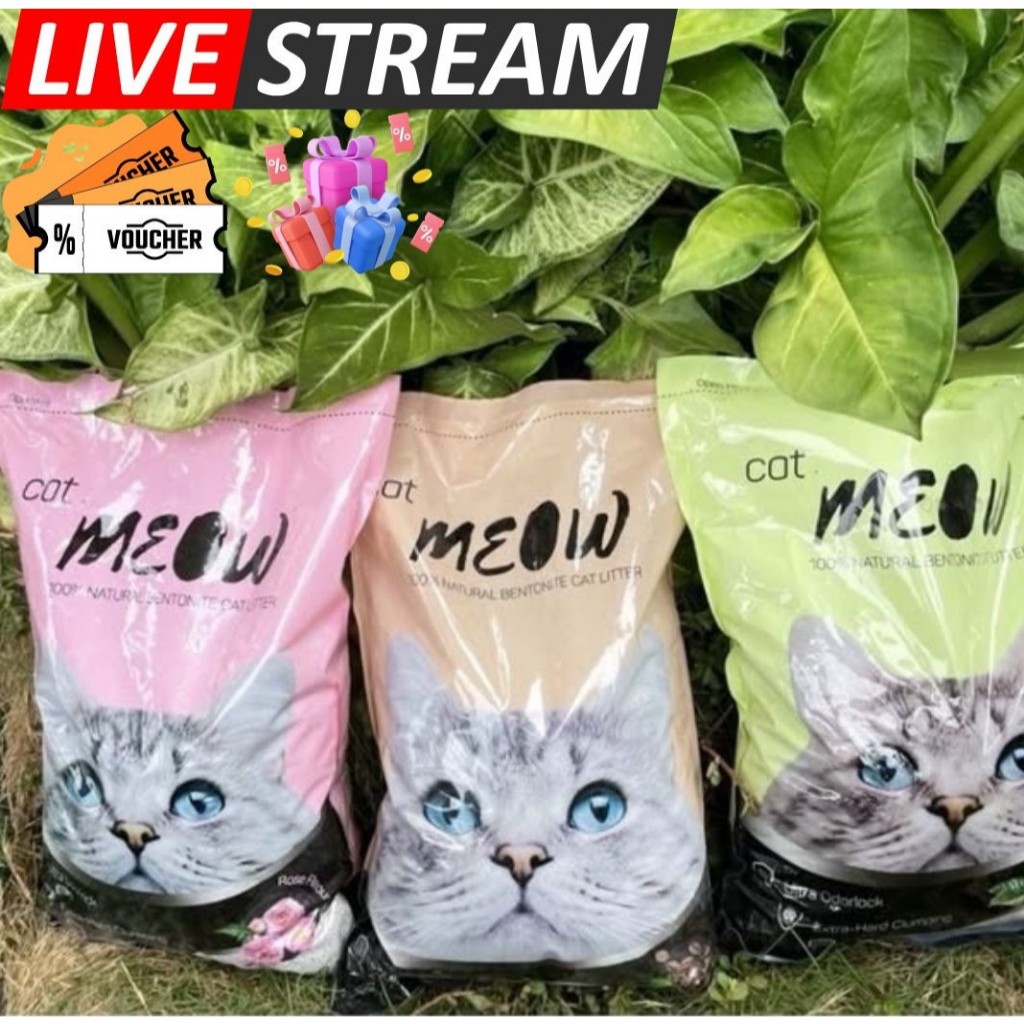 Meow Cat 8l - LiveStream | Shopee Singapore