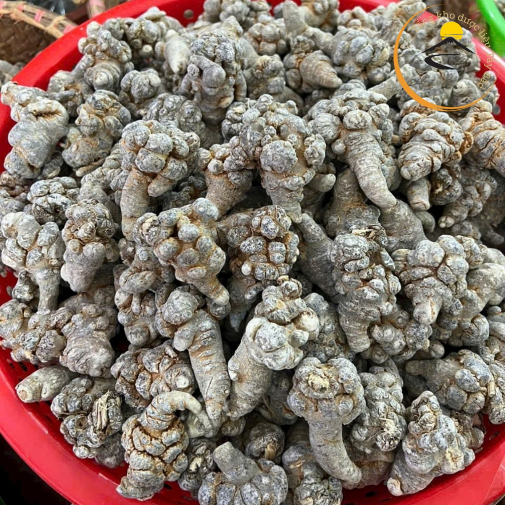 Dried Panax notoginseng root from Ha Giang forest, grade 1 from fresh ...