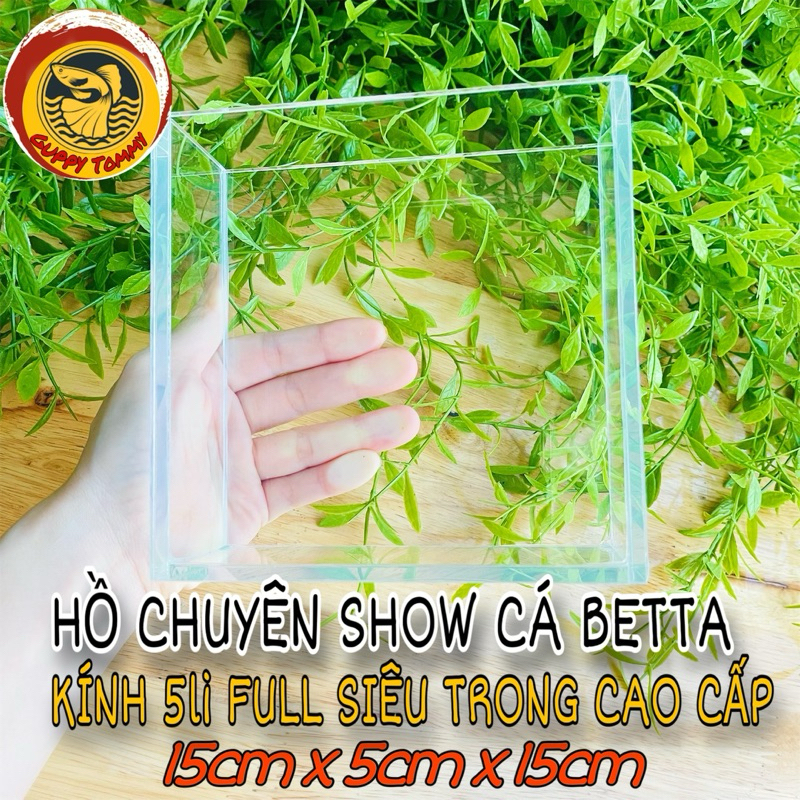 Super Clear Full Tank Specialized in filming Betta fish clips 15x5x15cm ...