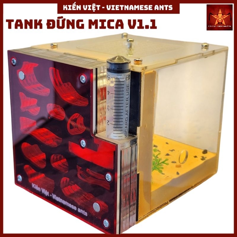 Mica V1.1 Ant Raising Tank, Ant Raising Tank, Ant Raising Box, Ant Nest ...