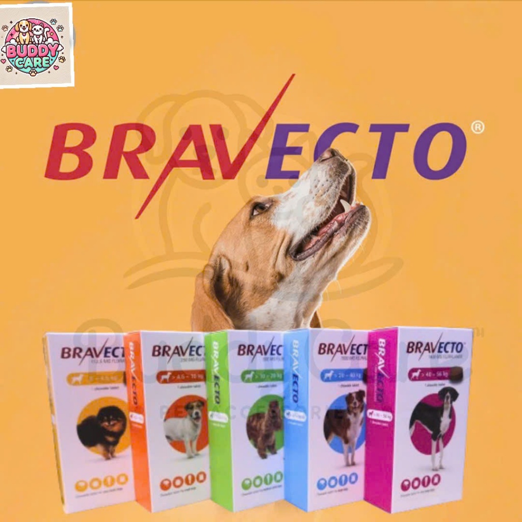 Bravecto Chewable Tablets for Dogs, Ticks, Fleas, Demodex Scabies | Shopee Singapore