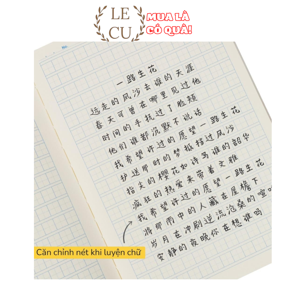 Caro notebook sewn and glued at the spine to practice writing Chinese ...