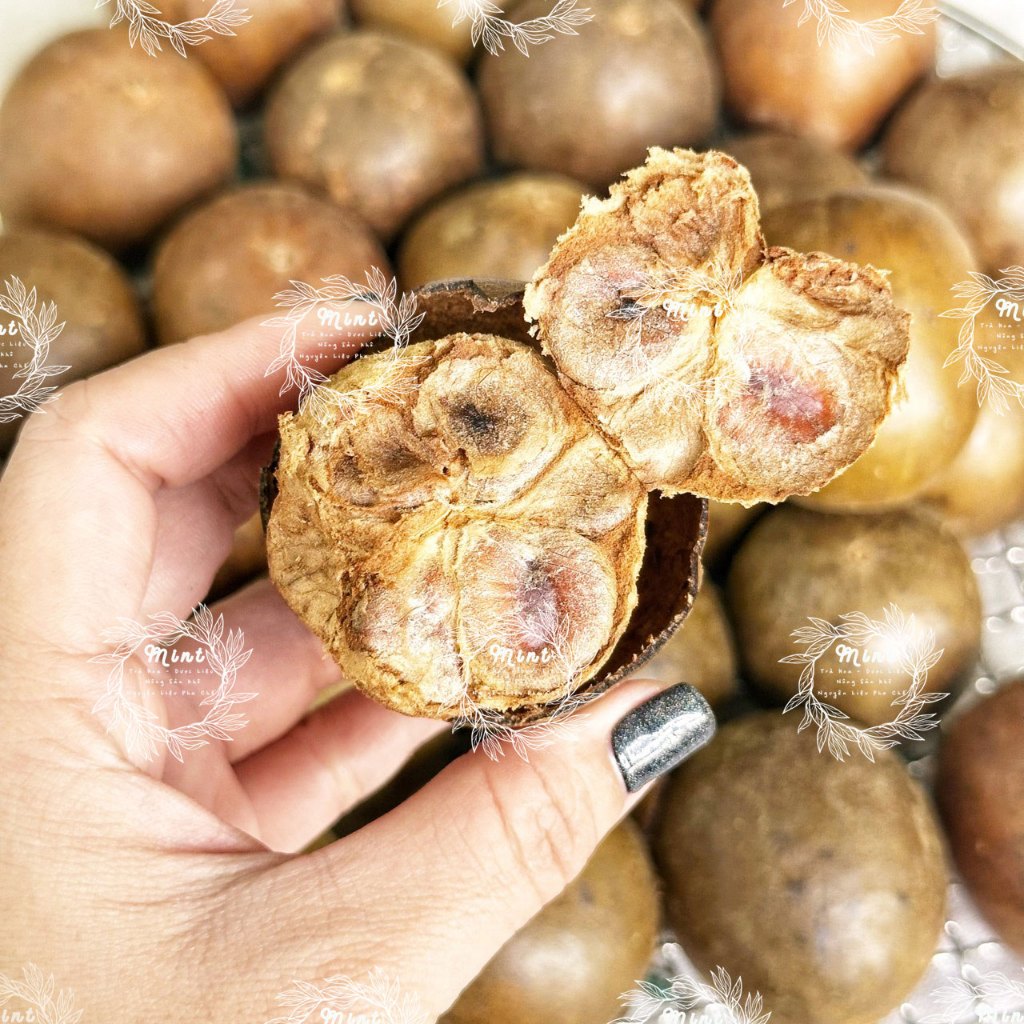 Arhat Guo (Han Guo, Fake Bitter Melon, Monk Fruit, La Han Guo) | Shopee ...
