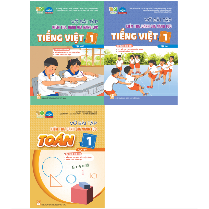 Book - Workbook for testing and assessing Vietnamese Math capacity ...