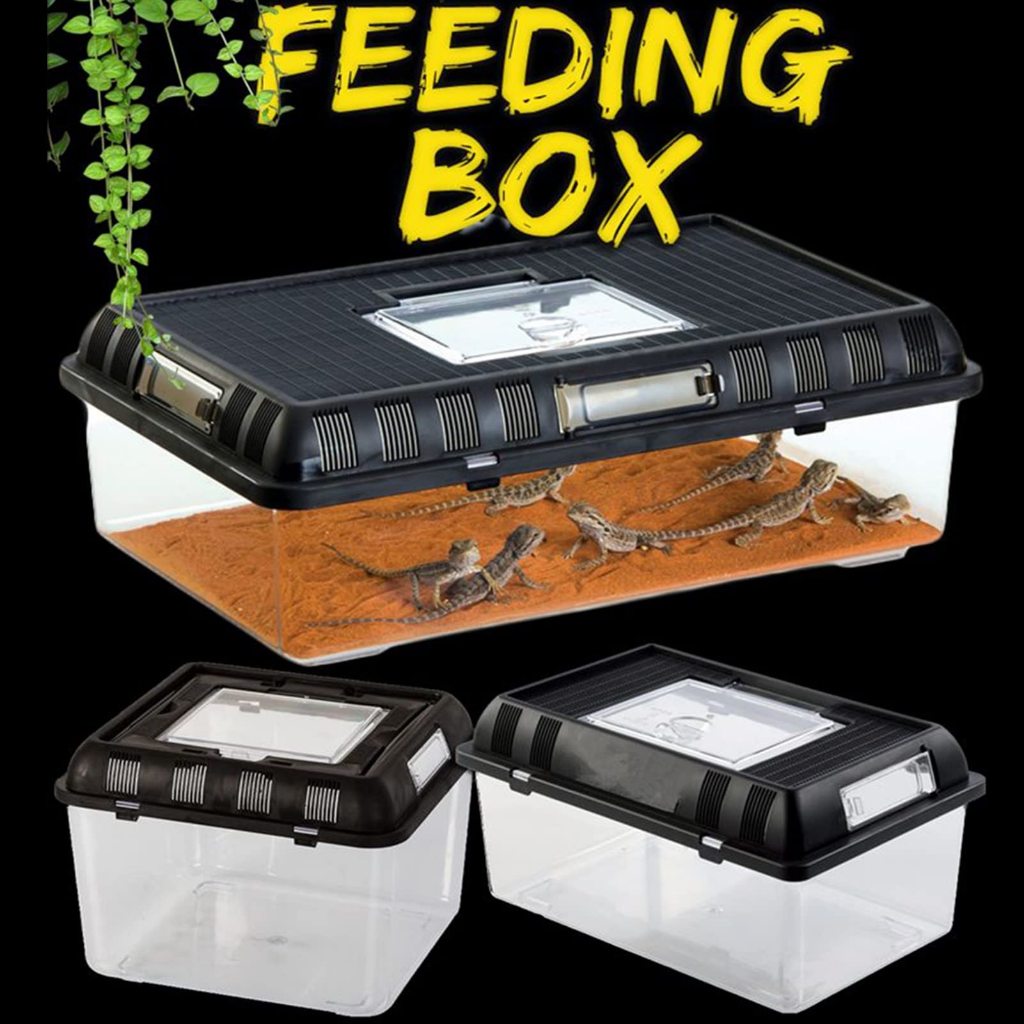 HIGH QUALITY TRANSPARENT MICA PLASTIC BOXES IN MANY SIZES FOR RAISING ...
