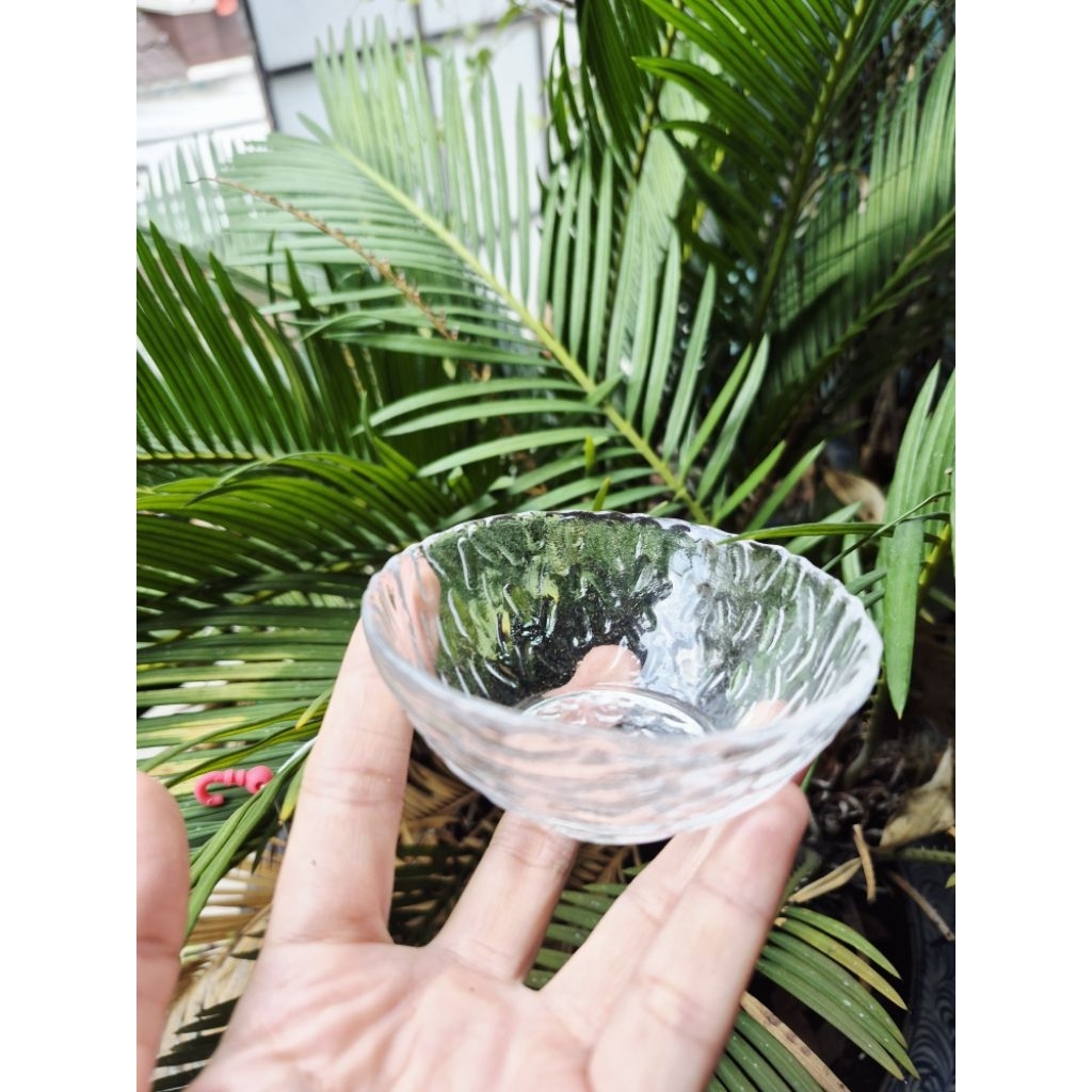 Round Glass Bowl | Shopee Singapore