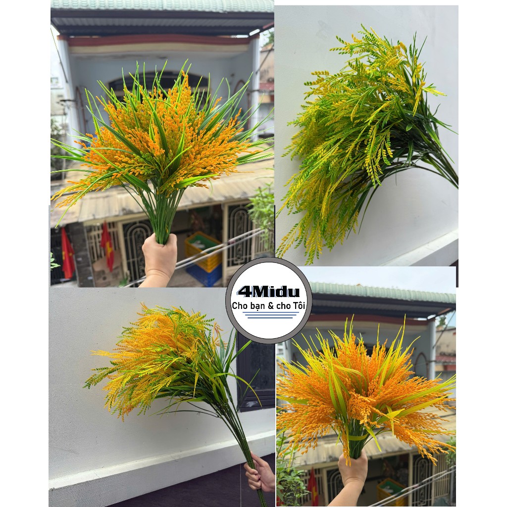 Green rice branches, yellow rice branches 40 - 80cm long - CNY 2025 ...