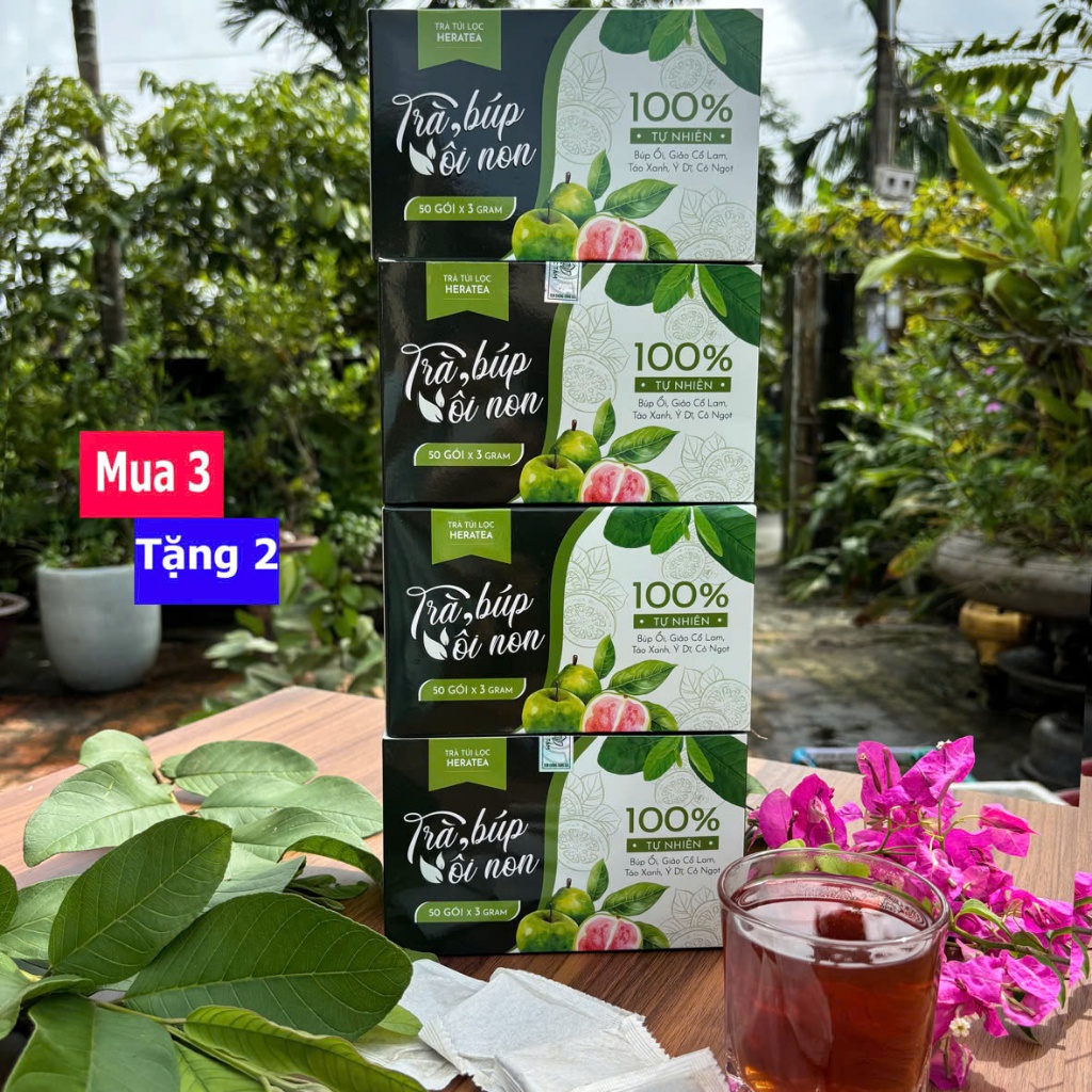 Young guava bud tea mixed with 5 natural flavors, belly fat burning ...