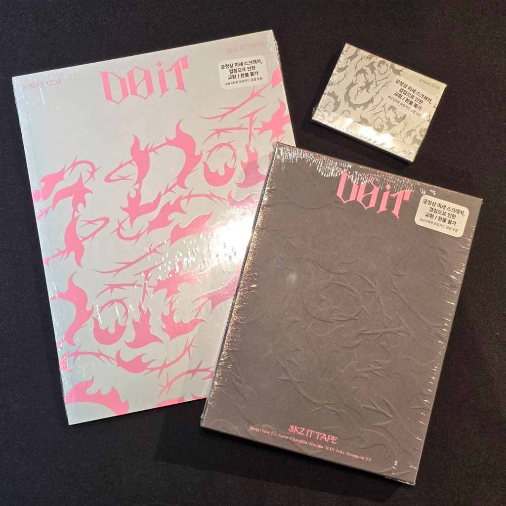 STRAY KIDS Album [DO IT] Mini Album SKZ IT TAPE Music CD | Shopee Singapore