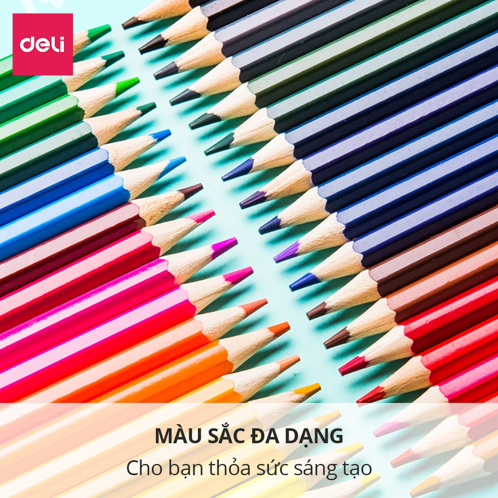 Deli Cup Professional Colored Pencils - Oil Based/Water Based - 24/36 ...