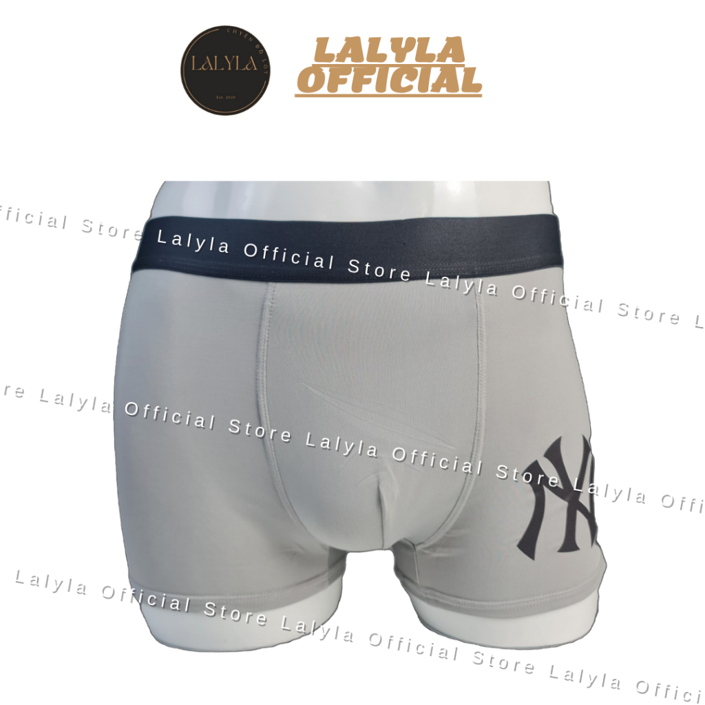 Box of 5 high-quality men's briefs, genuine NY boxer briefs for men in ...