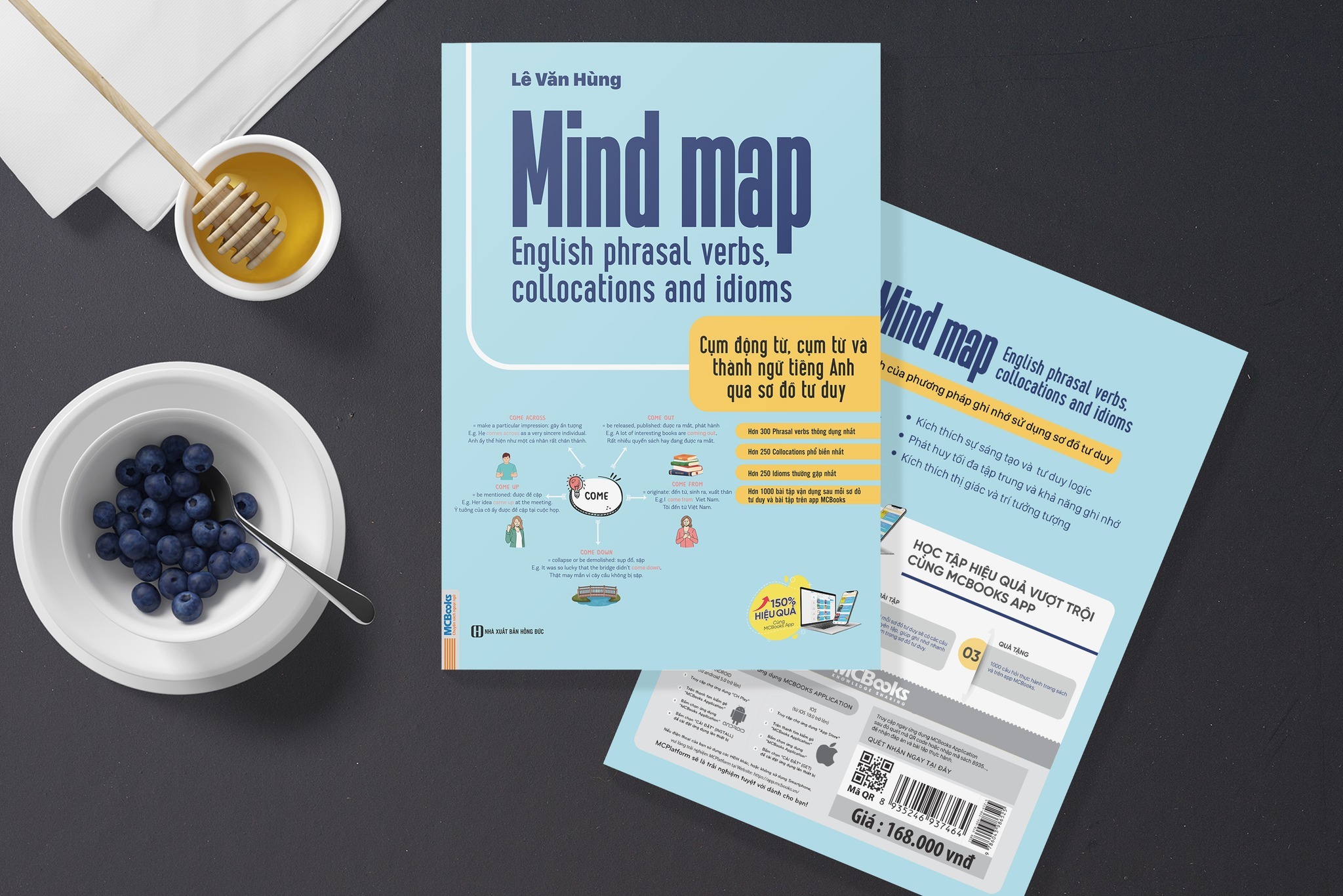 Book - Mind Map English phrasal verbs, collocations and idioms ...