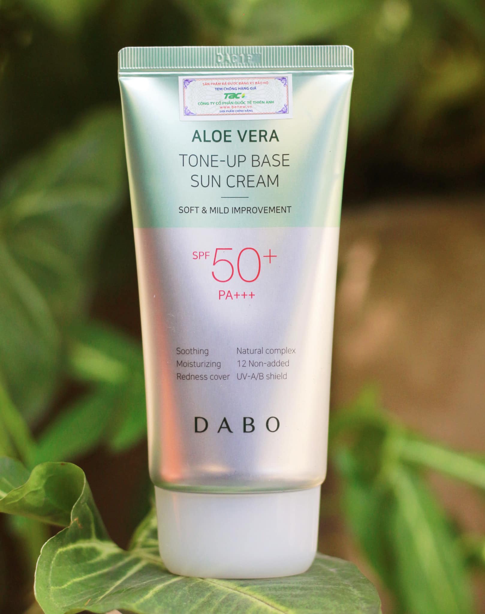 Dabo ALOE VERA tone-UP Korean Sunscreen for skin care and tone lining ...