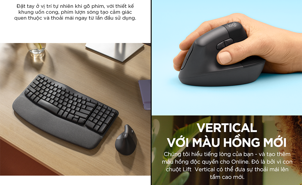 Ergonomic Combo - Logitech Wave Keys Keyboard and Logitech Lift ...