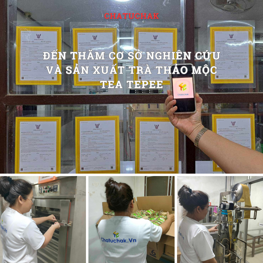 [Bag Form] Set of 30 packs of Thai Tepee Herbal Tea for Bones, Joints ...