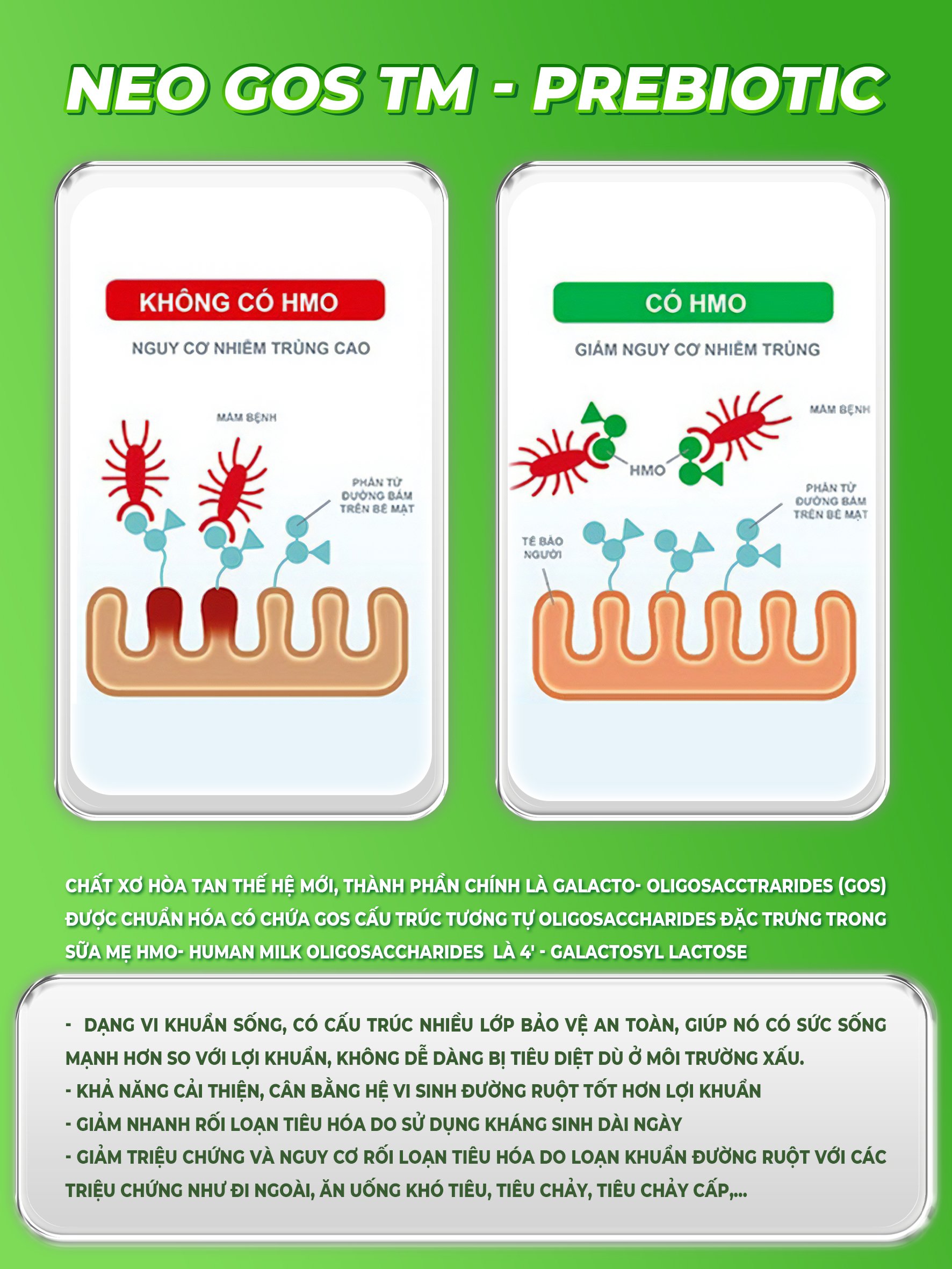 Pre&probiotic intestinal Probiotic candy eliminates diarrhea ...