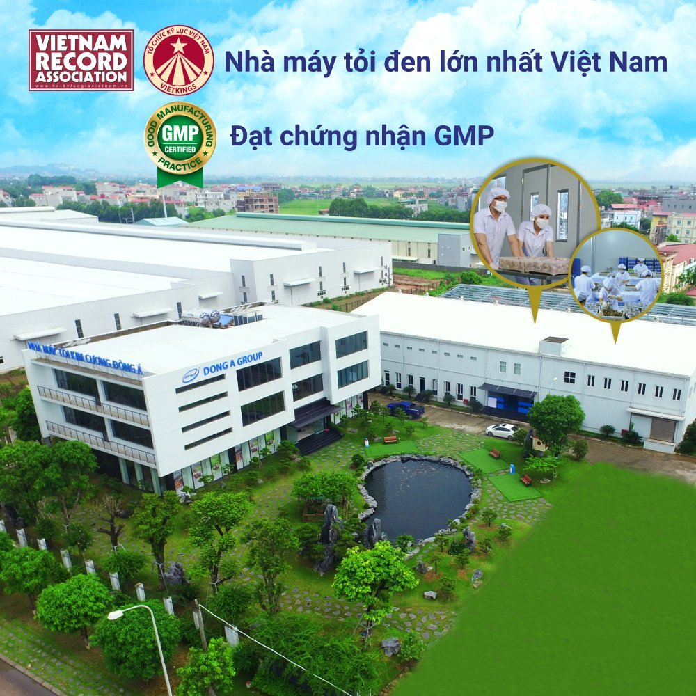 Diamond Black Garlic Gift Box 400g, lonely black garlic supports fermented blood pressure using ...