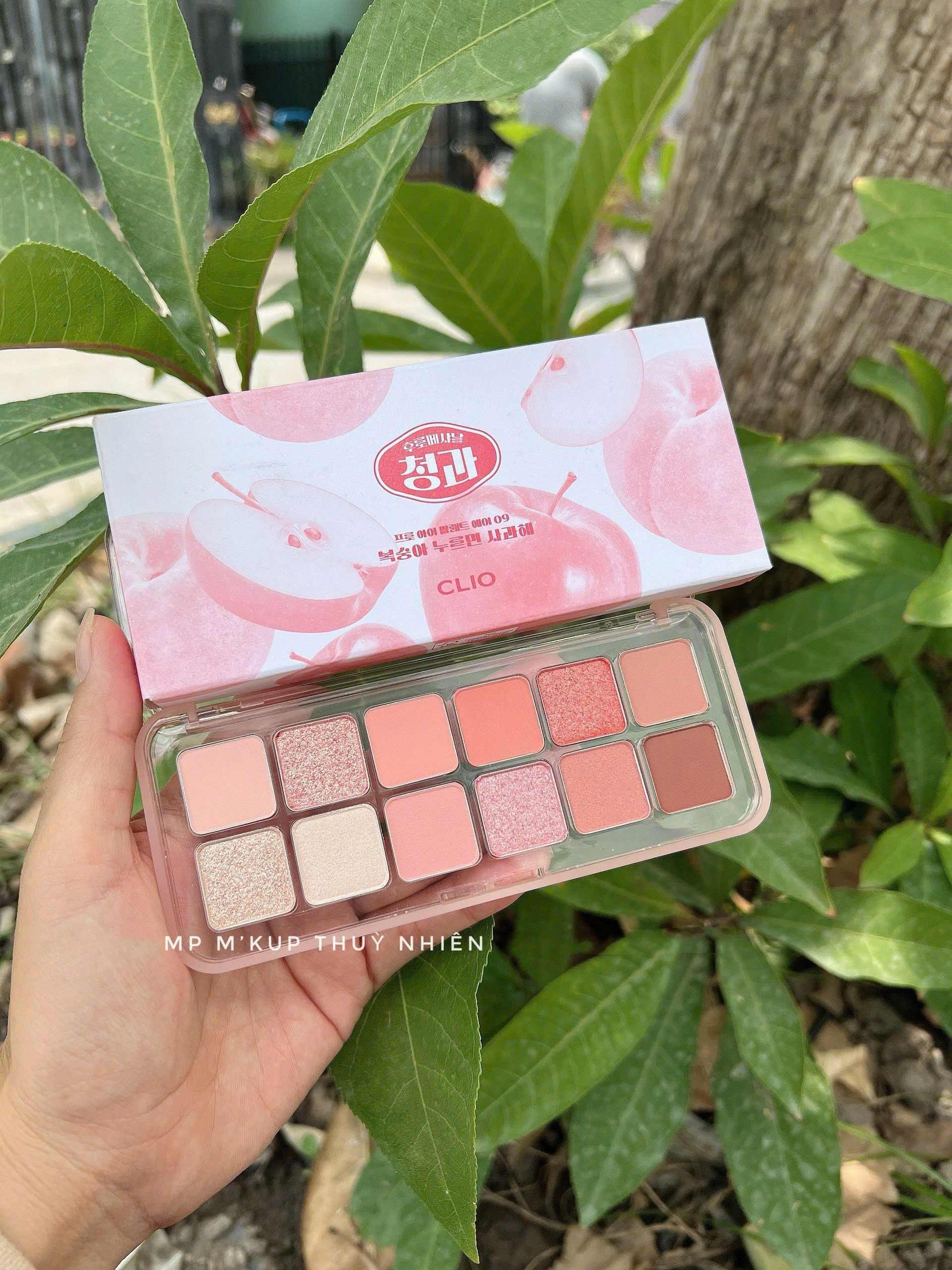 Clio Pro Eye Pallete Air Every Fruit Grocery Collection 12-pan ...