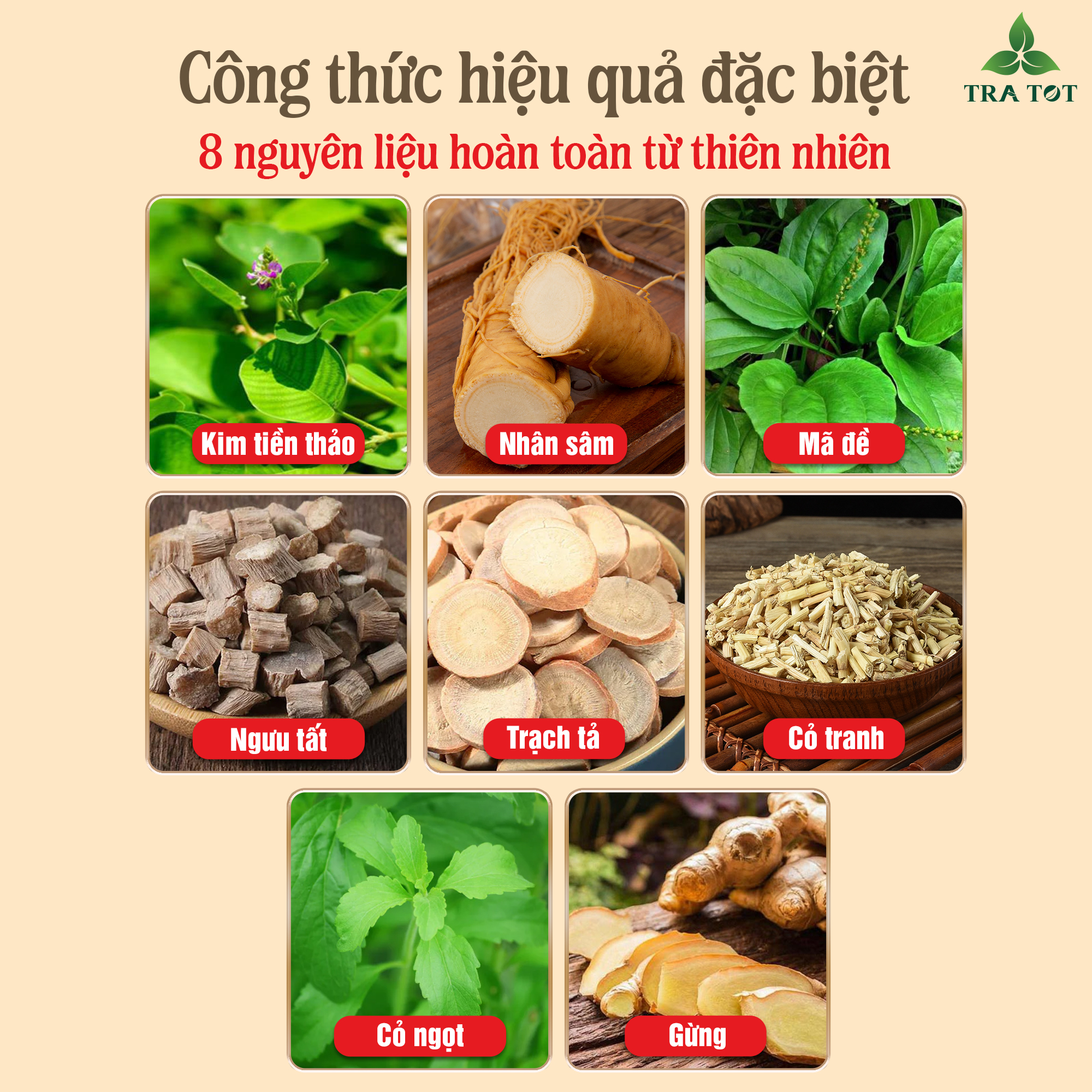 Tra TOT 8-flavored Ginseng Kim Tien Thao Tea helps nourish the kidneys ...