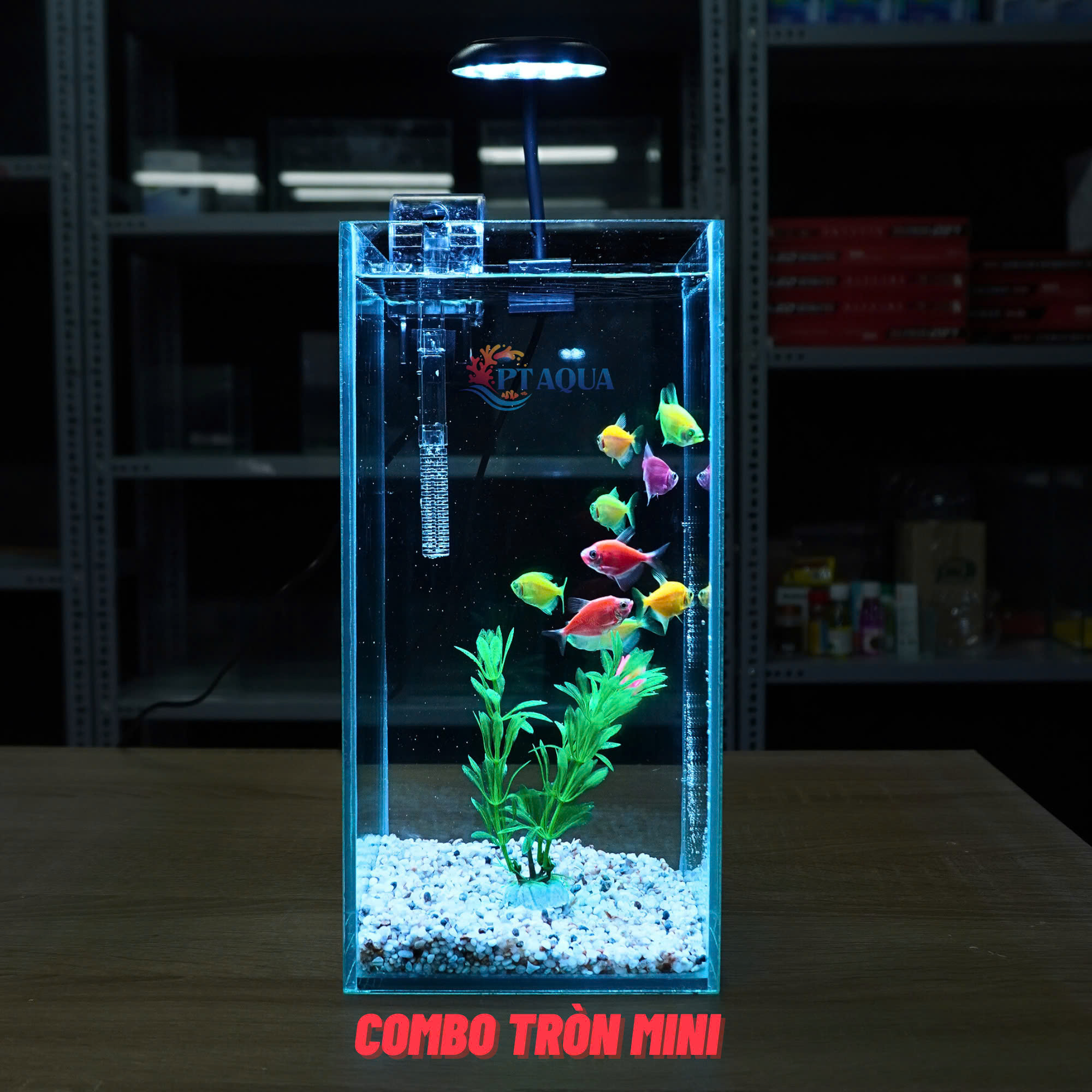 Mini Desktop Fish Tank with Vertical Pillar 15x15x30cm Suitable for ...