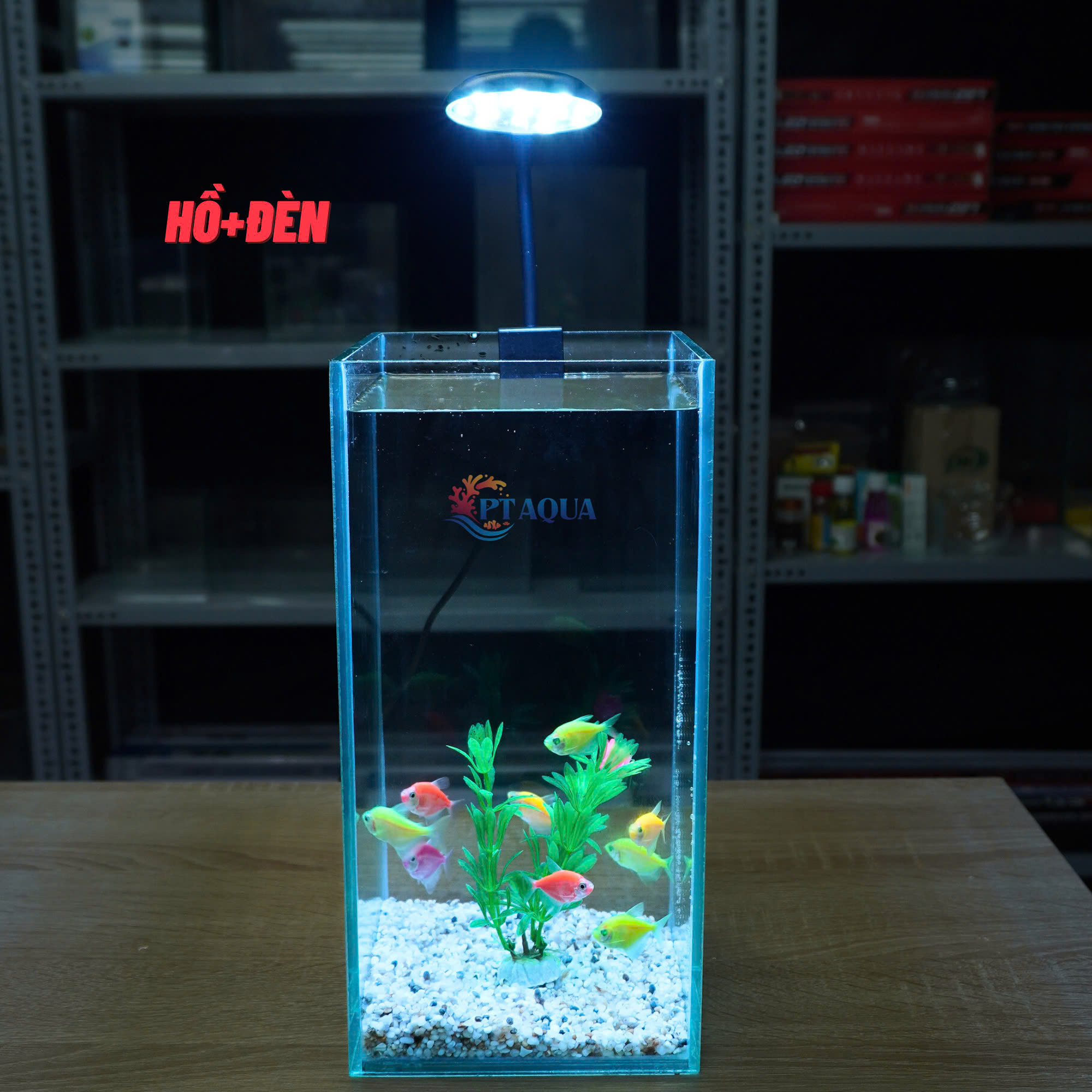 Mini Desktop Fish Tank with Vertical Pillar 15x15x30cm Suitable for ...