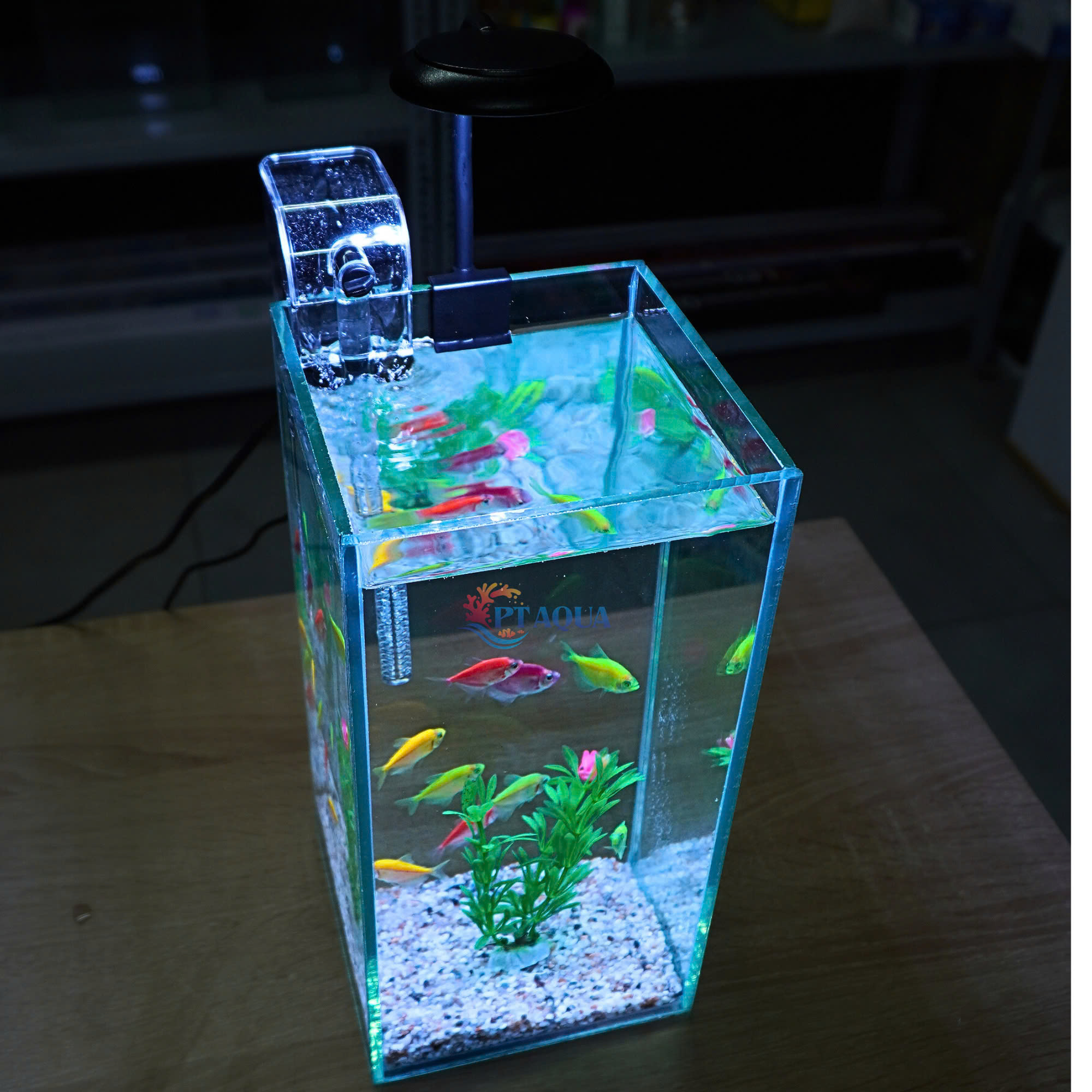 Mini Desktop Fish Tank with Vertical Pillar 15x15x30cm Suitable for ...