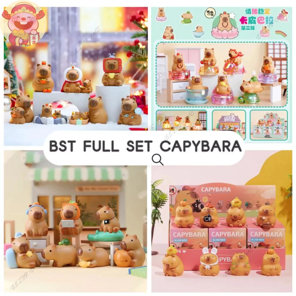Capybara FULL SET COLLECTION - Collectible FULL BOX/ FULL SET of cute ...